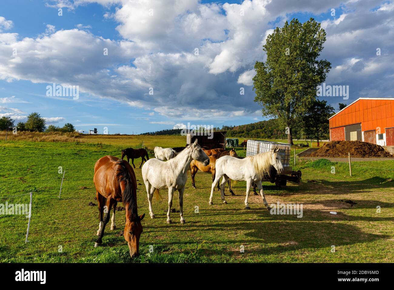 Farm ranch hi-res stock photography and images - Alamy