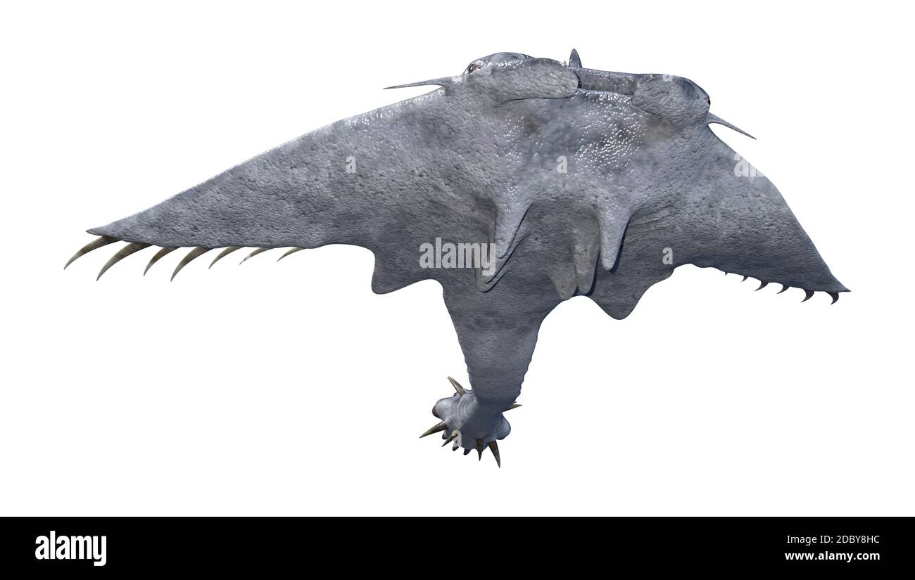 3D rendering of a devil ray isolated on white background Stock Photo ...
