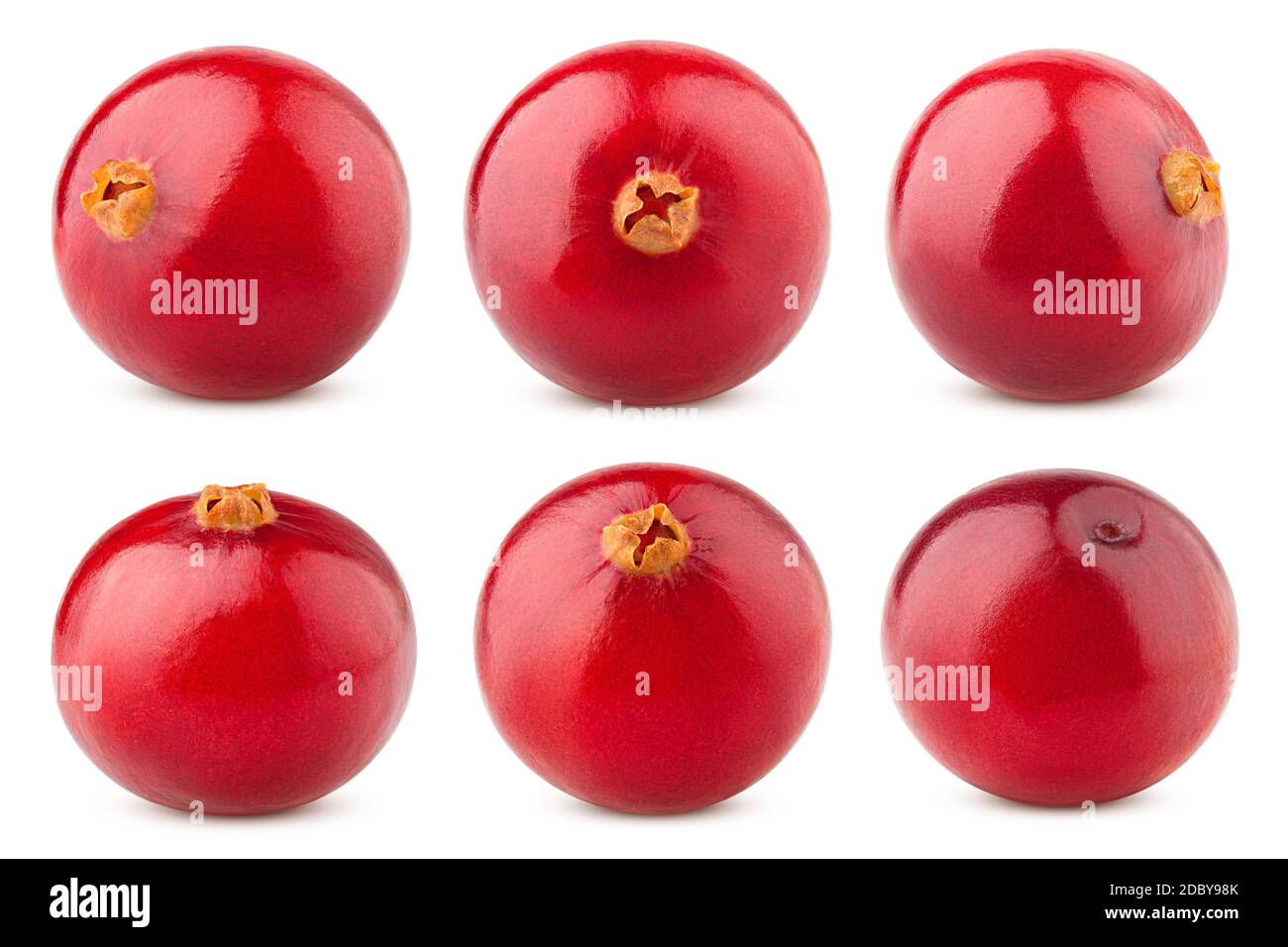 cranberry isolated on white background, clipping path, full depth of ...