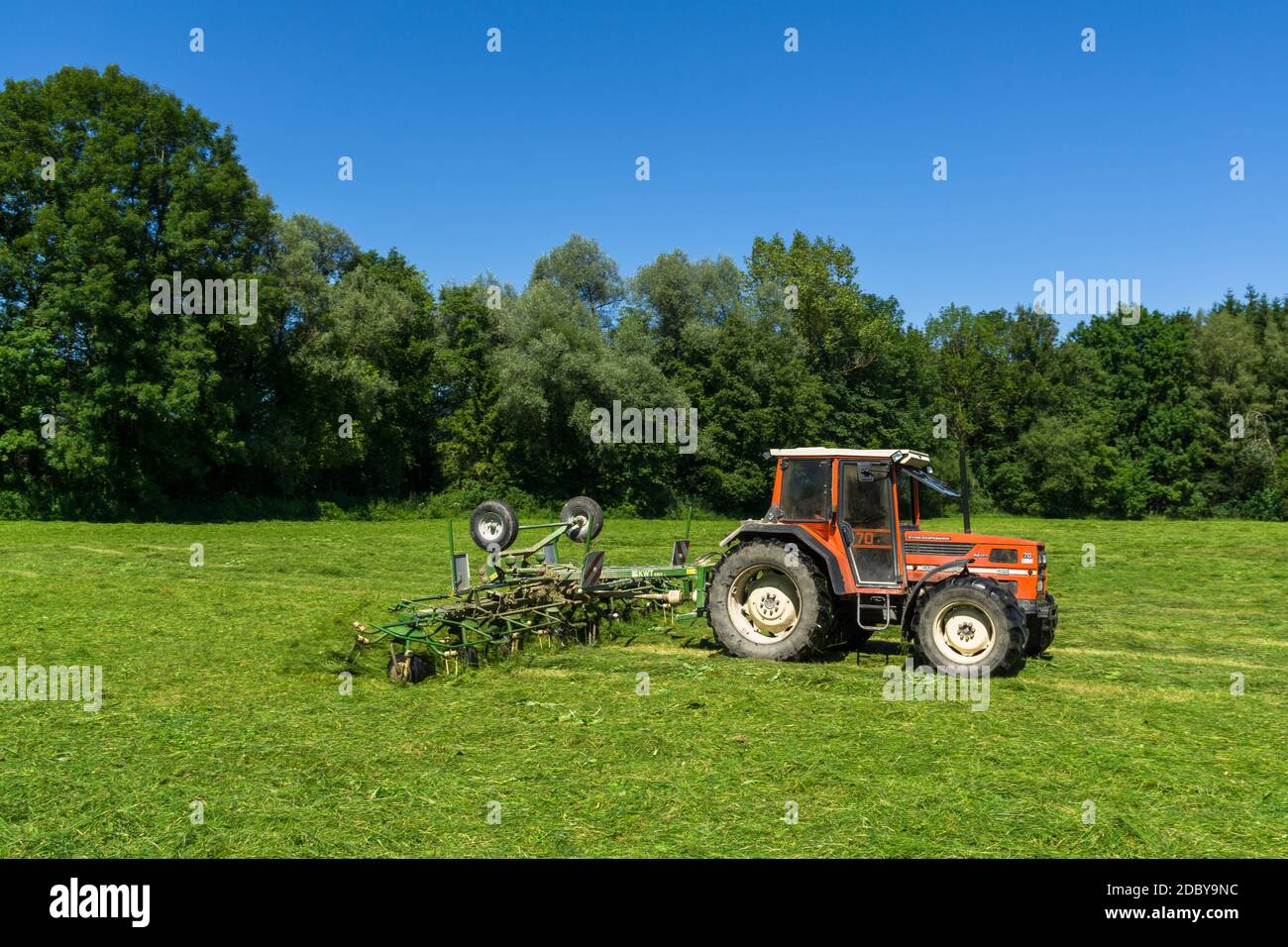 Turn the grass and make hay Stock Photo - Alamy