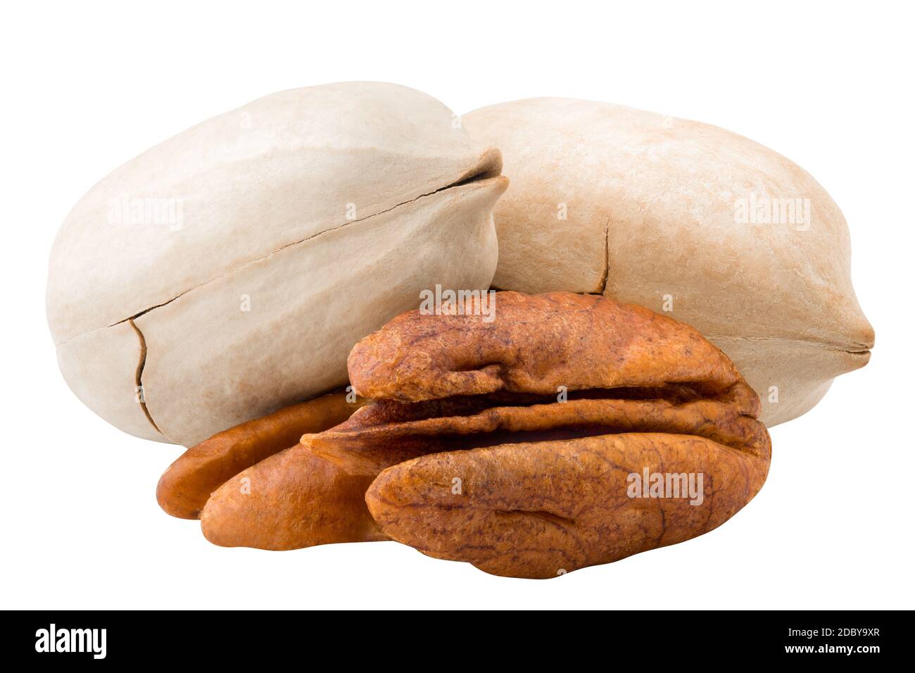 pecan, nut, isolated on white background, clipping path, full depth of ...