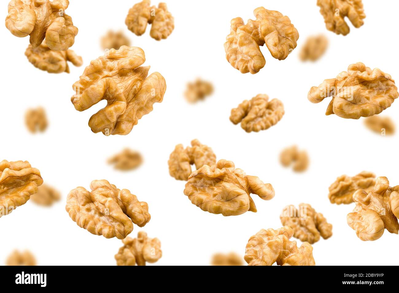 Falling walnut, nut, isolated on white background, selective focus ...