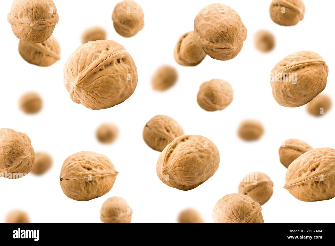 Falling walnut, nut, isolated on white background, selective focus ...