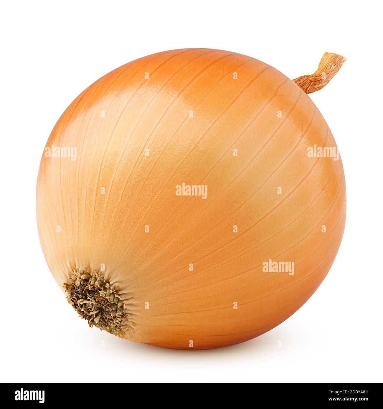 onion, isolated on white background, clipping path, full depth of field ...