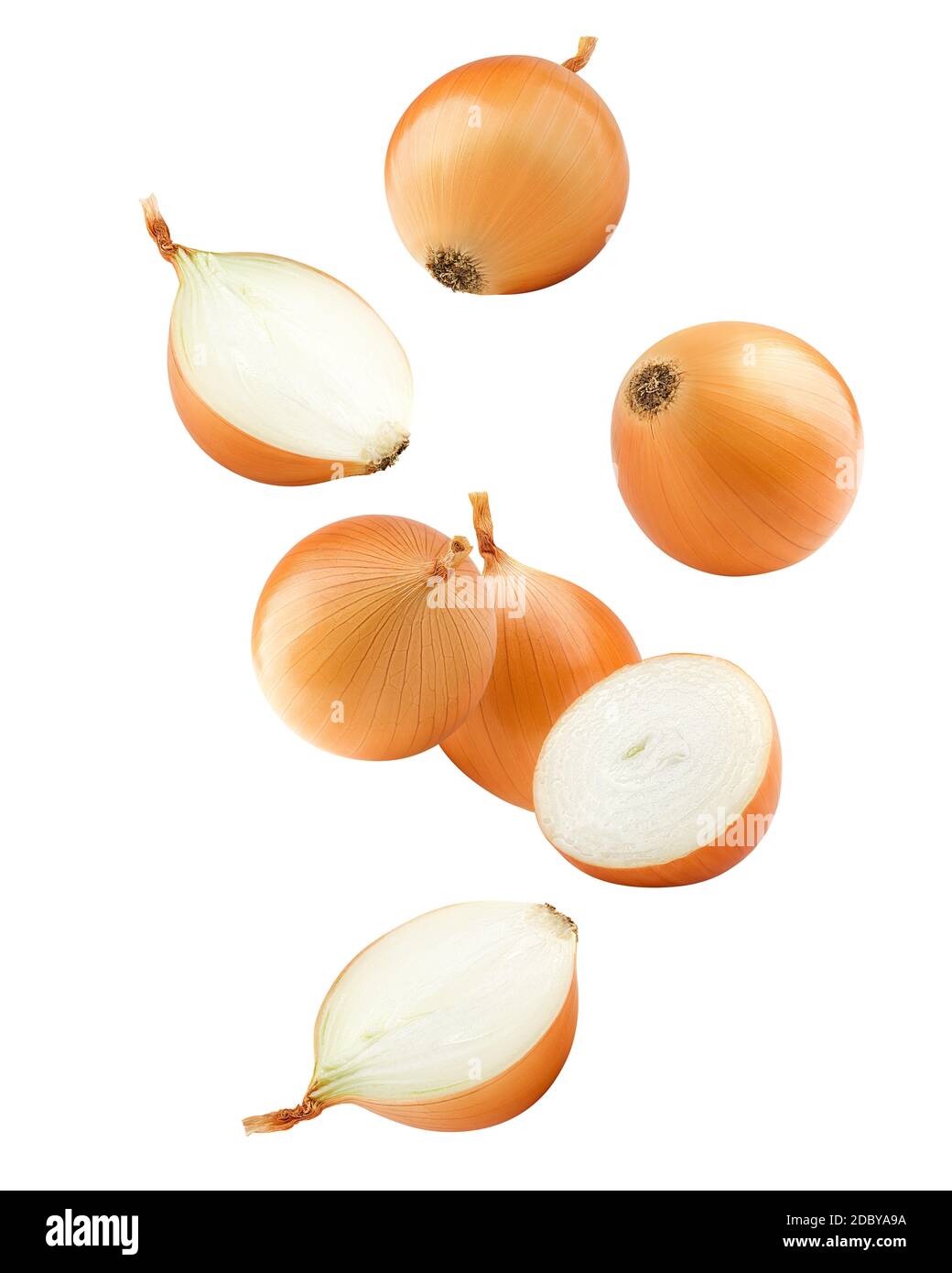 Falling onion, isolated on white background, clipping path, full depth ...