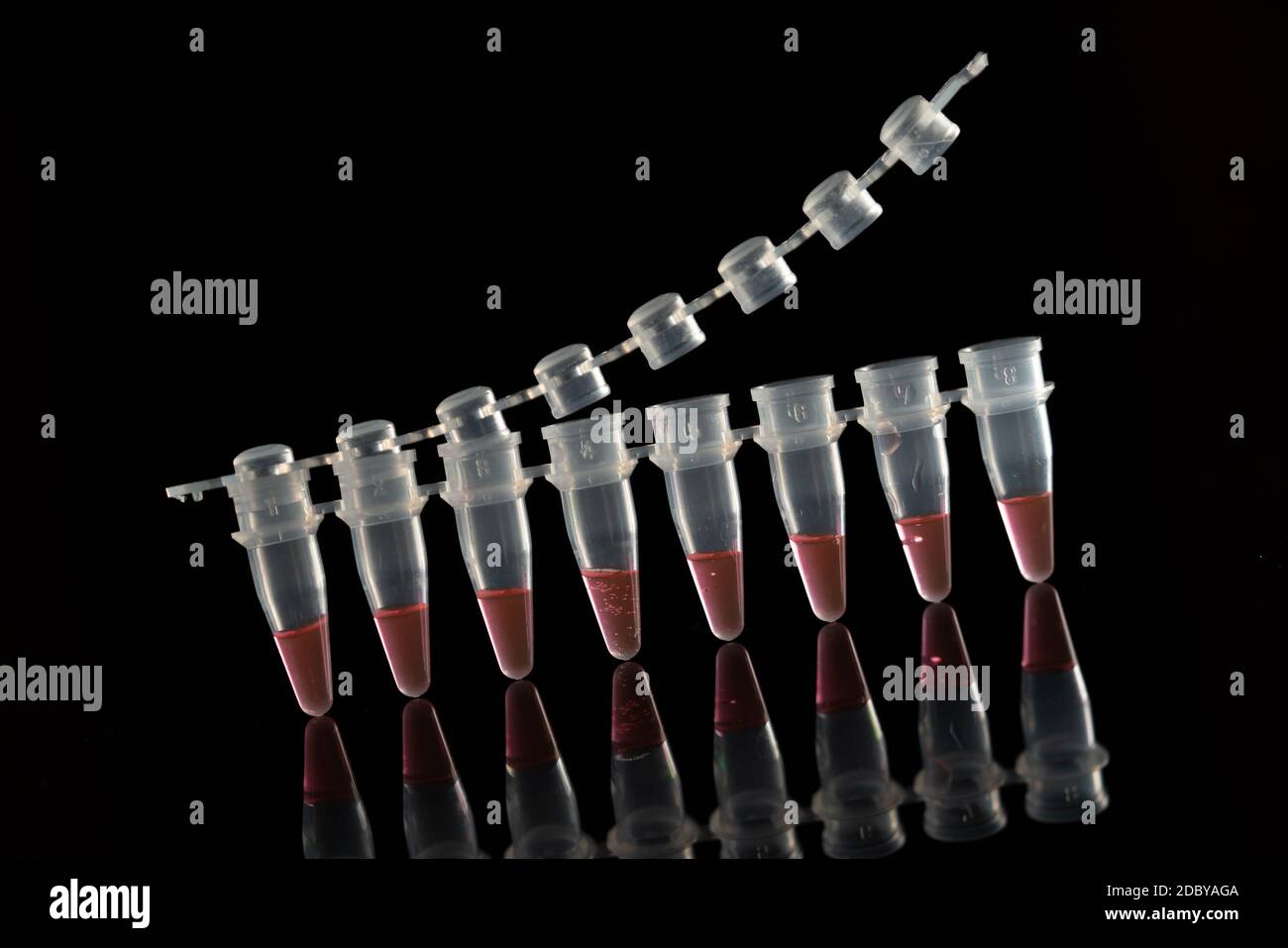 Pcr micro tube for coronavirus identification on black. High quality ...