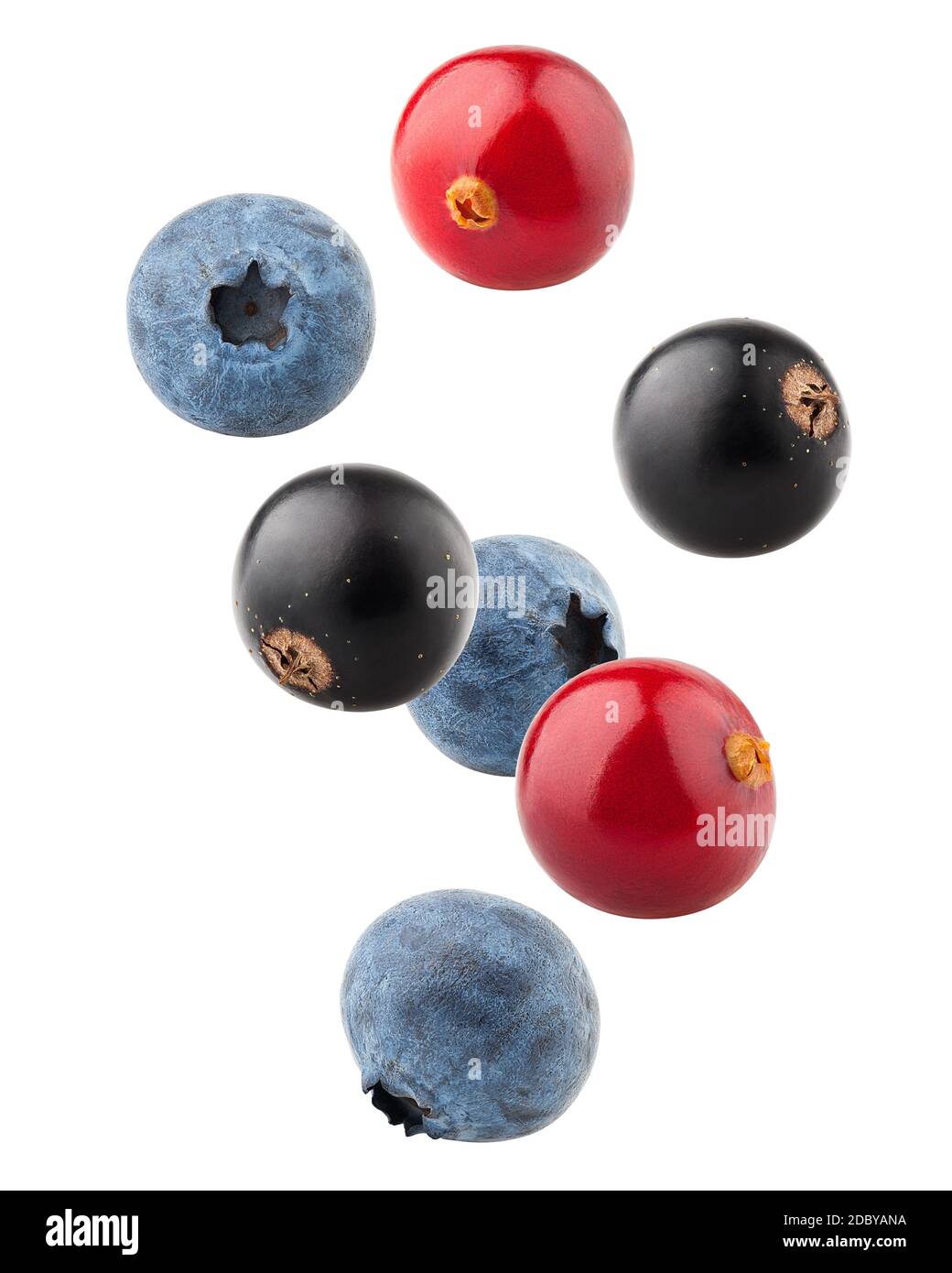 Falling berries, cranberry, blueberry, black currant, clipping path ...