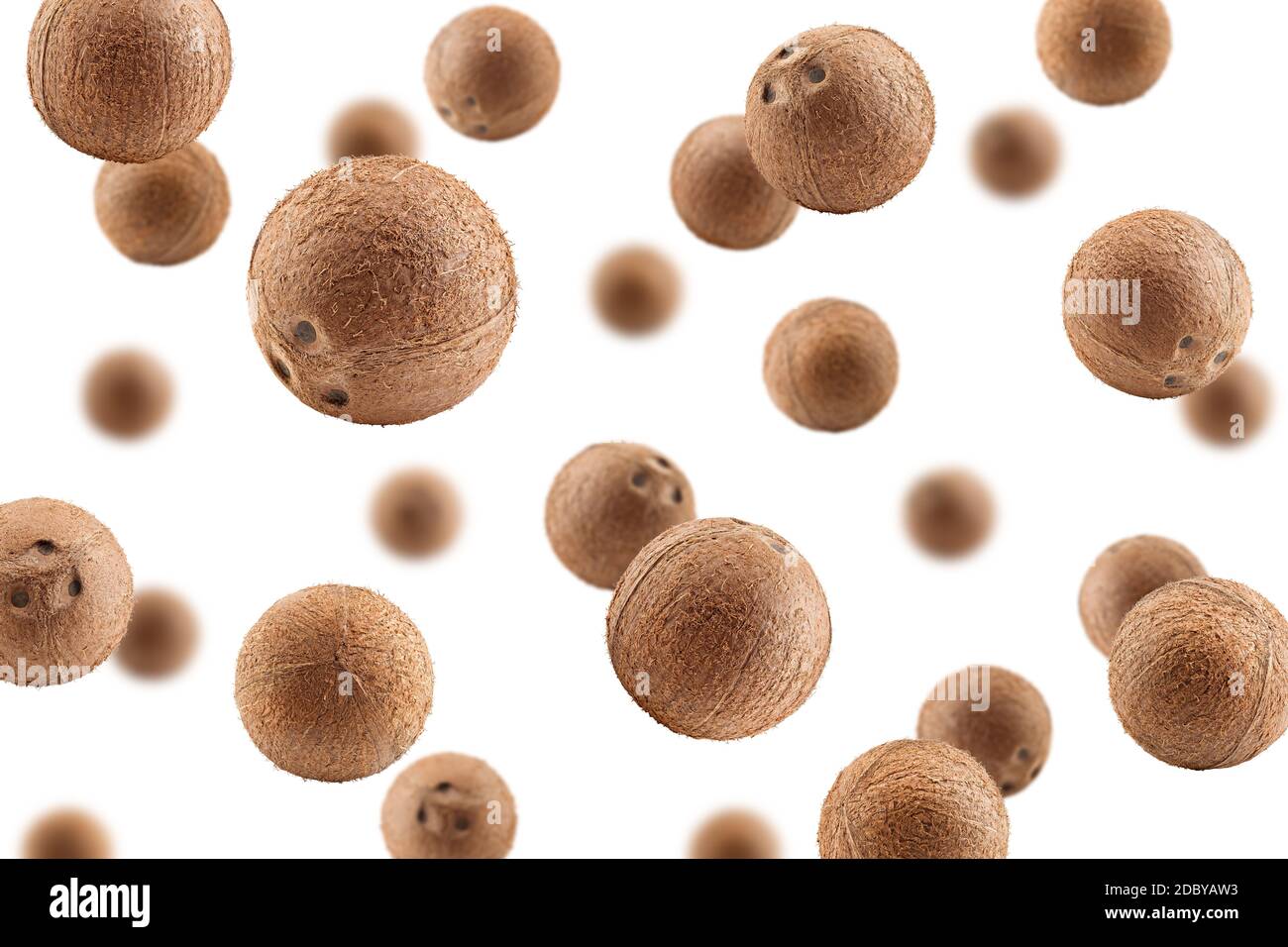 Falling coconuts hi-res stock photography and images - Alamy