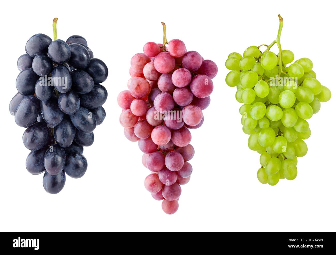 purple red and green grape, isolated on white background, clipping path ...