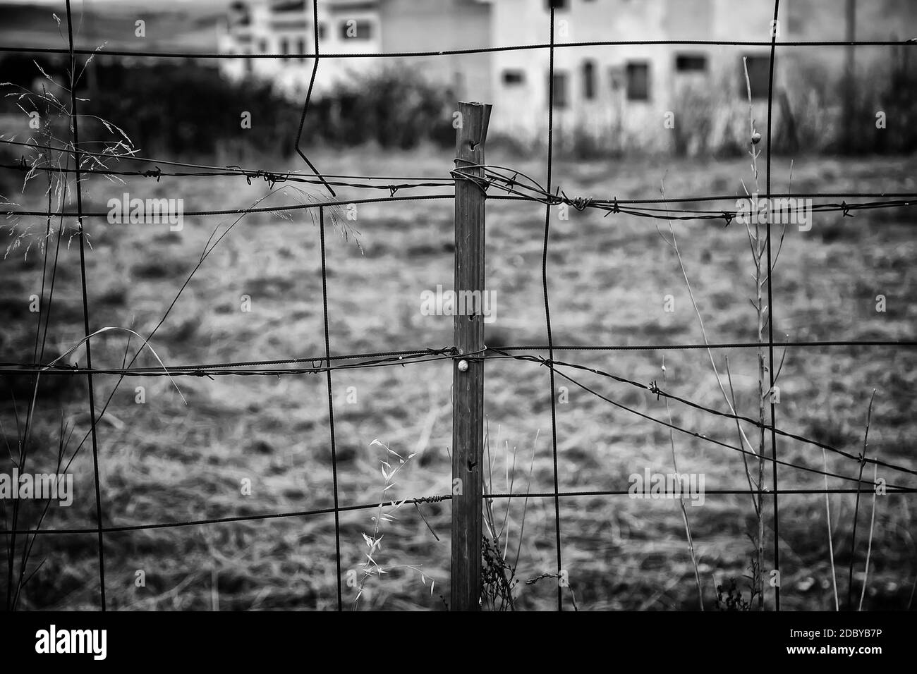Barbed wire metal fence, security and protection detail Stock Photo - Alamy
