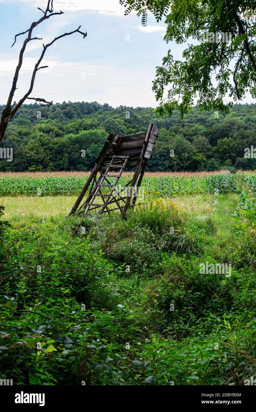Forestry tracks and hunting grounds Stock Photo - Alamy