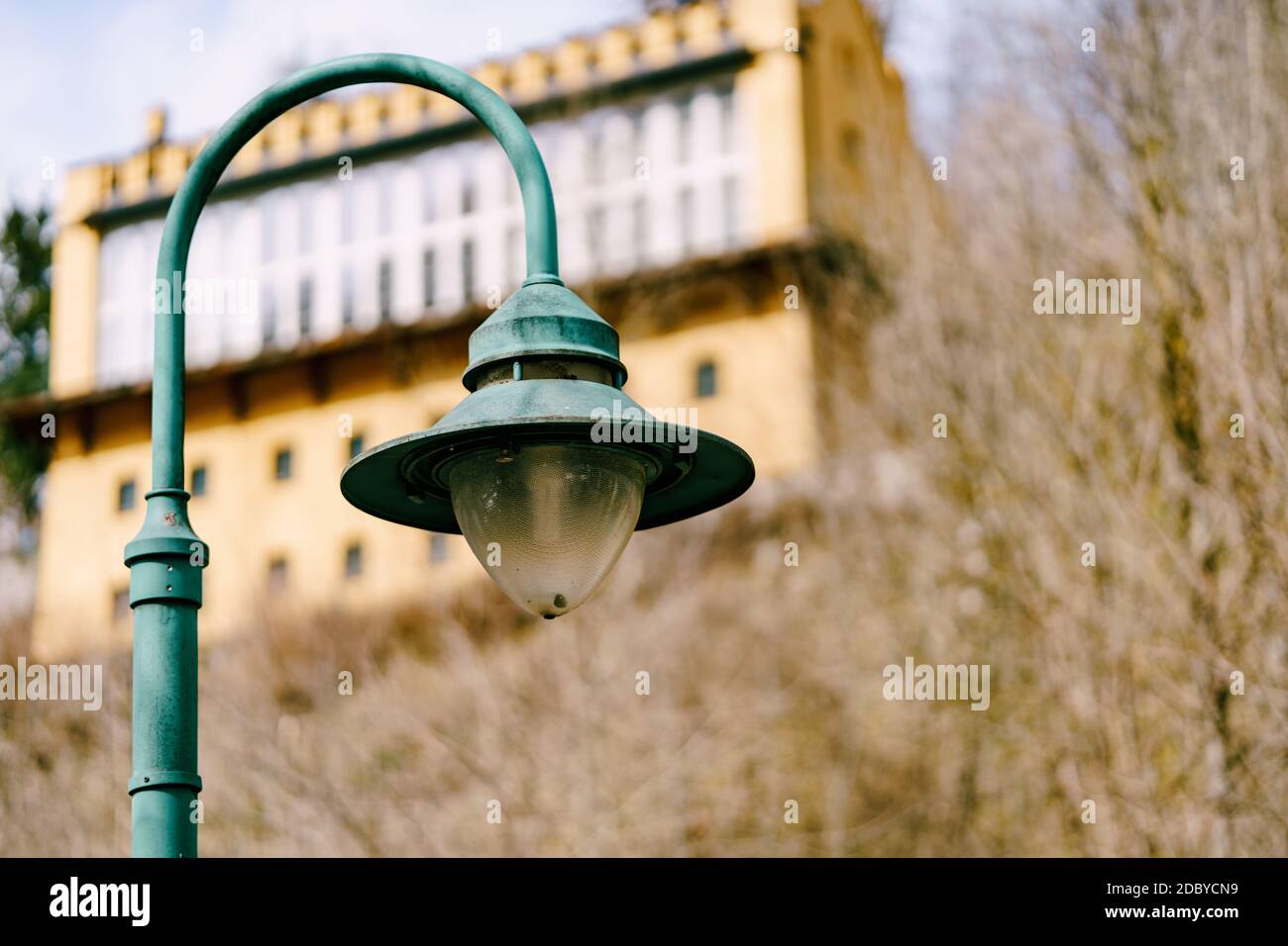 Old street lamp trees hi-res stock photography and images - Alamy