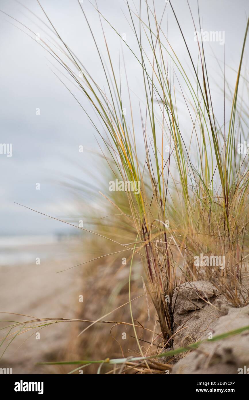 Evening mood at beach hi-res stock photography and images - Alamy