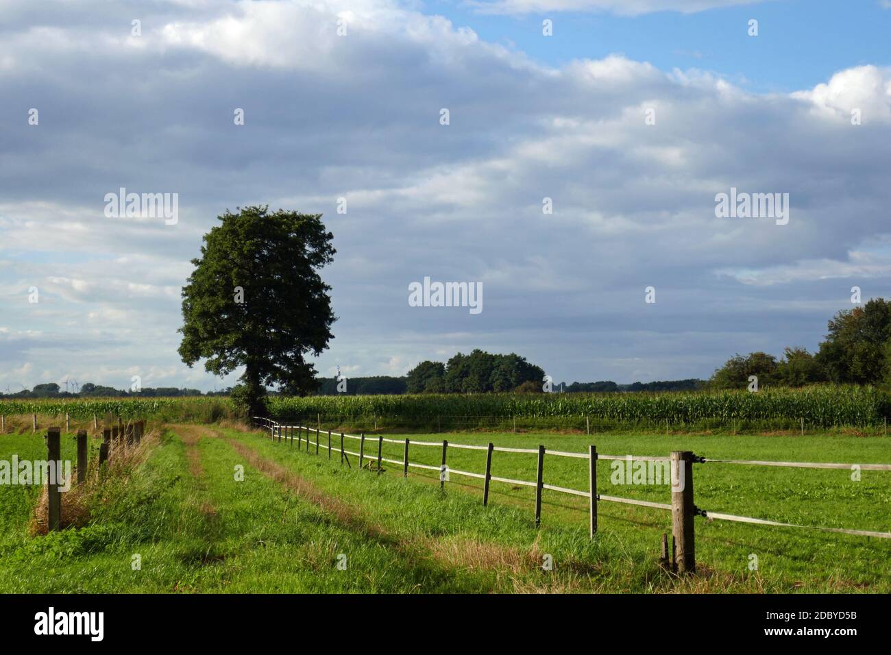 Usable arable land hi-res stock photography and images - Alamy