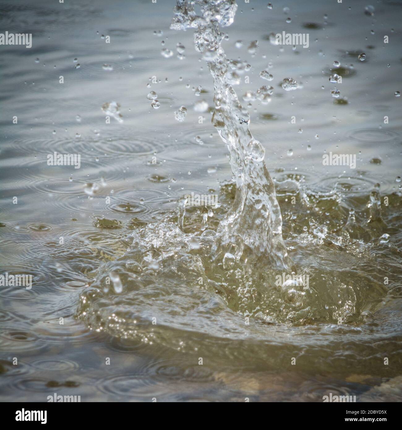 water drops at a river Stock Photo - Alamy