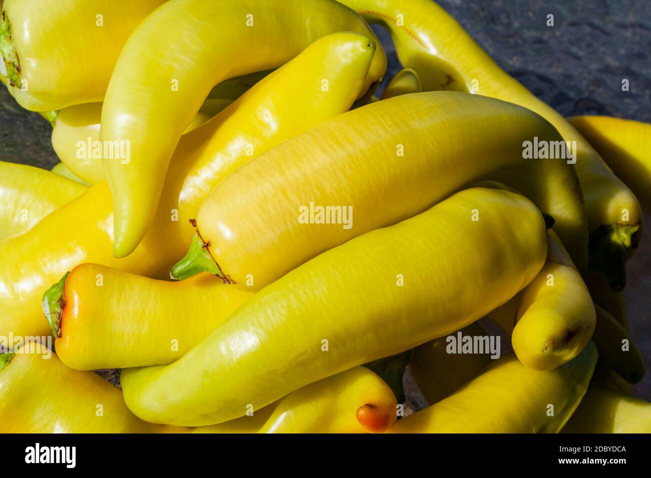 Picking bell peppers garden hi-res stock photography and images - Alamy