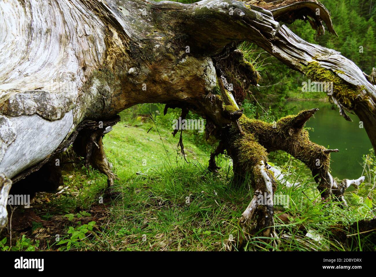 Tyrolean alps hi-res stock photography and images - Alamy