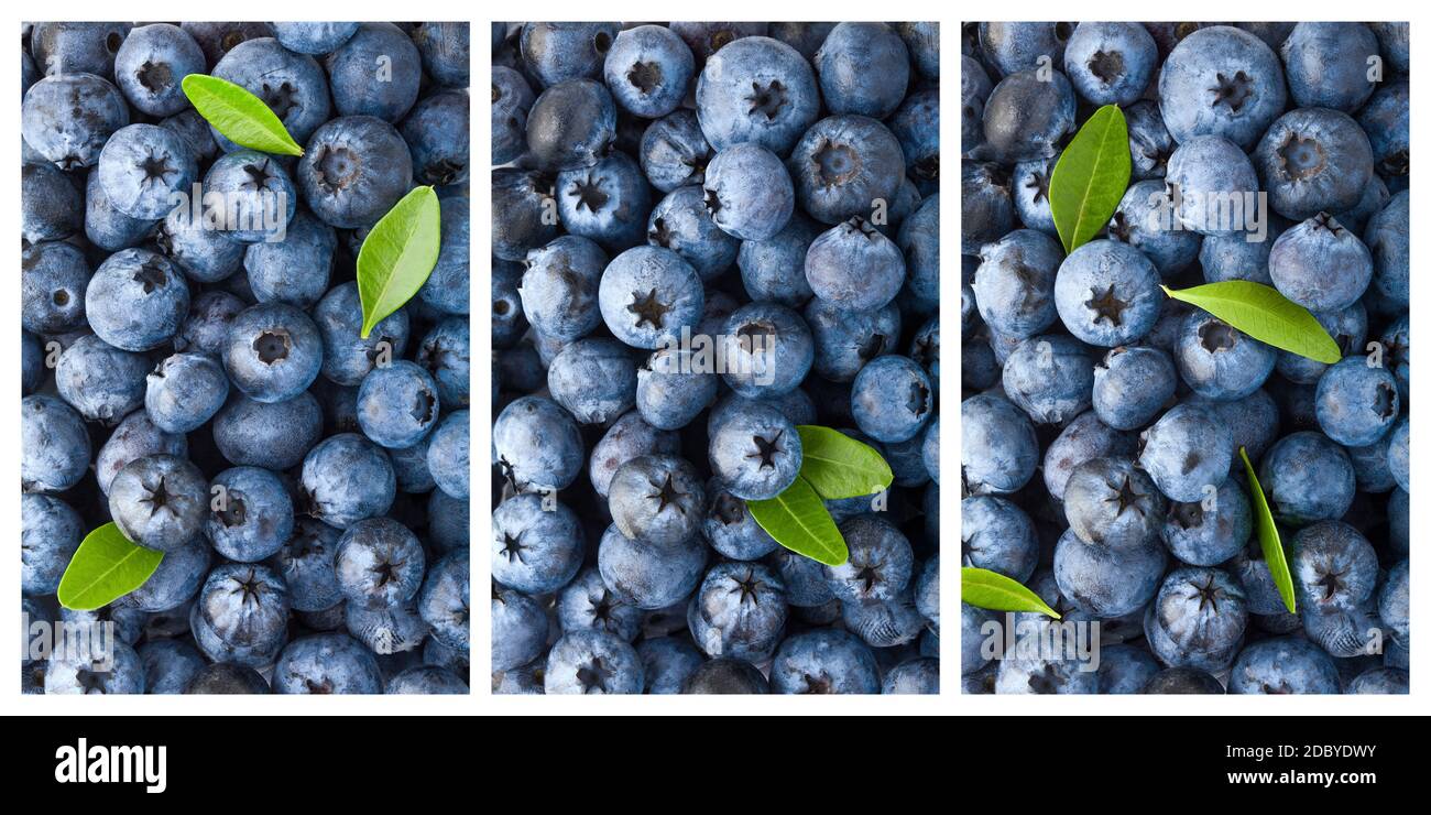blueberry, clipping path, isolated on white background, full depth of ...