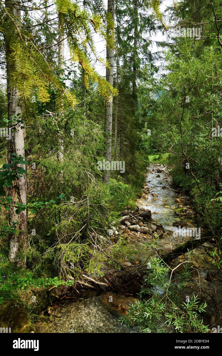 Tyrolean wilderness hi-res stock photography and images - Alamy