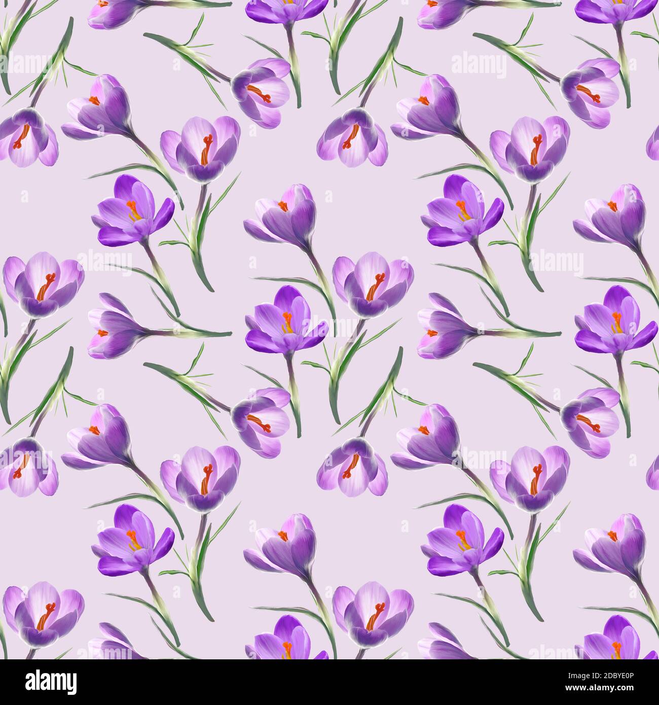 Seamless floral design with crocus flowers for background, Endless ...