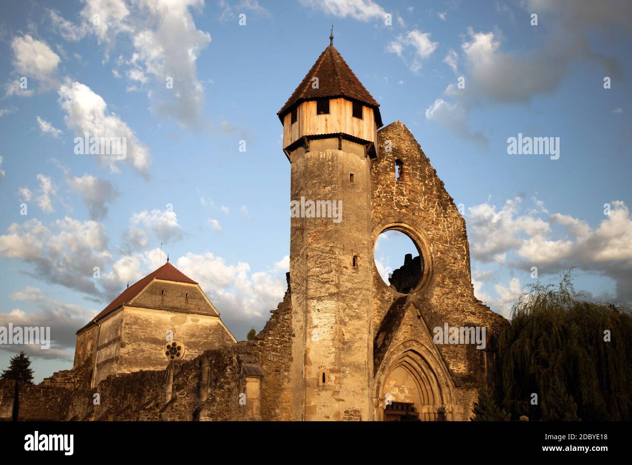 Carta - Ruins of Medieval Cistercian abbey from Carta village, Sibiu ...