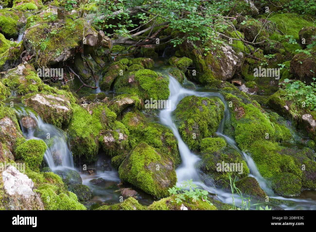 Water cataract with green moss Stock Photo - Alamy