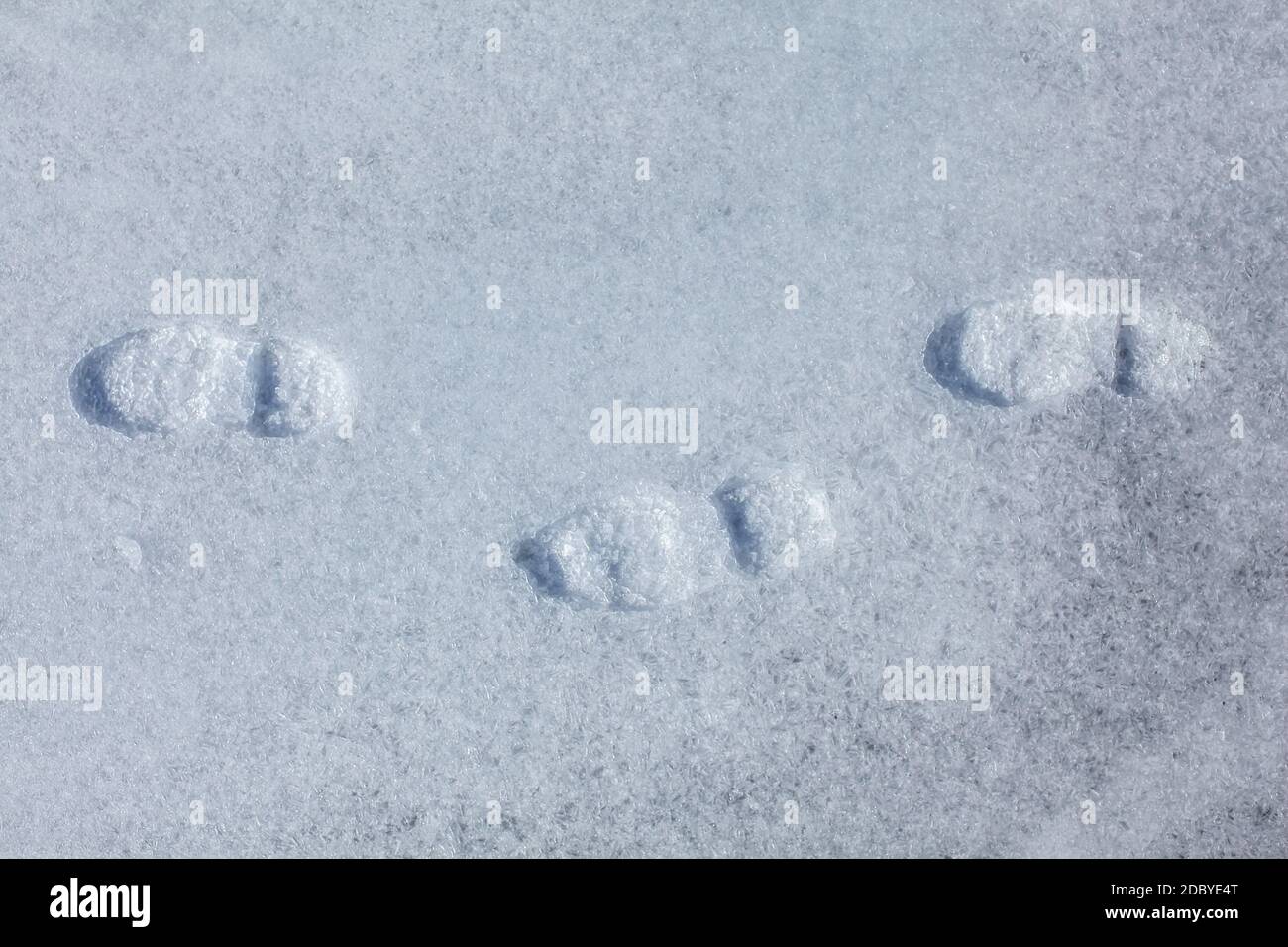 Three footprints hi-res stock photography and images - Alamy