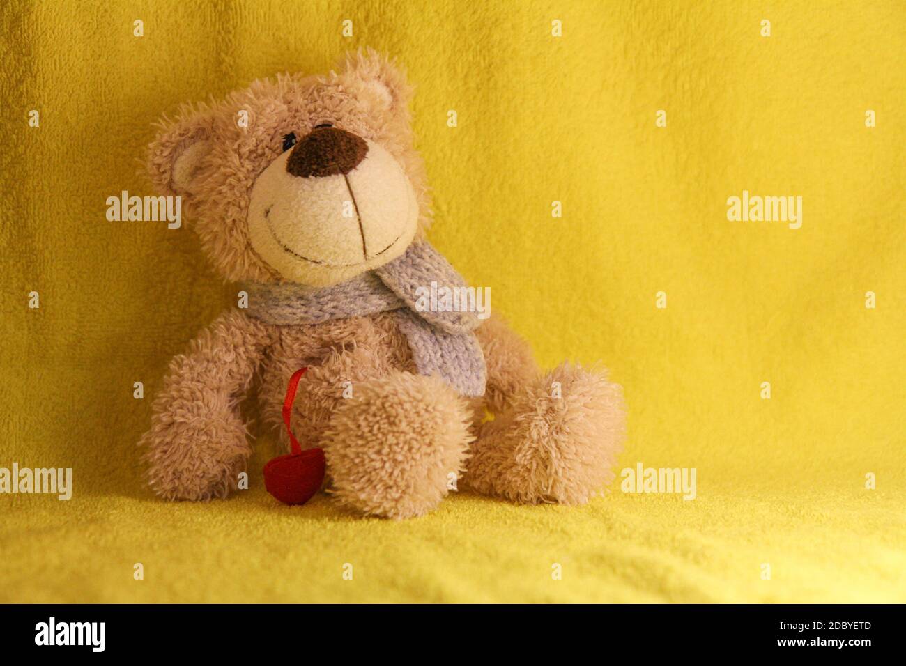 Children's toy bear on a yellow, terry background Stock Photo - Alamy