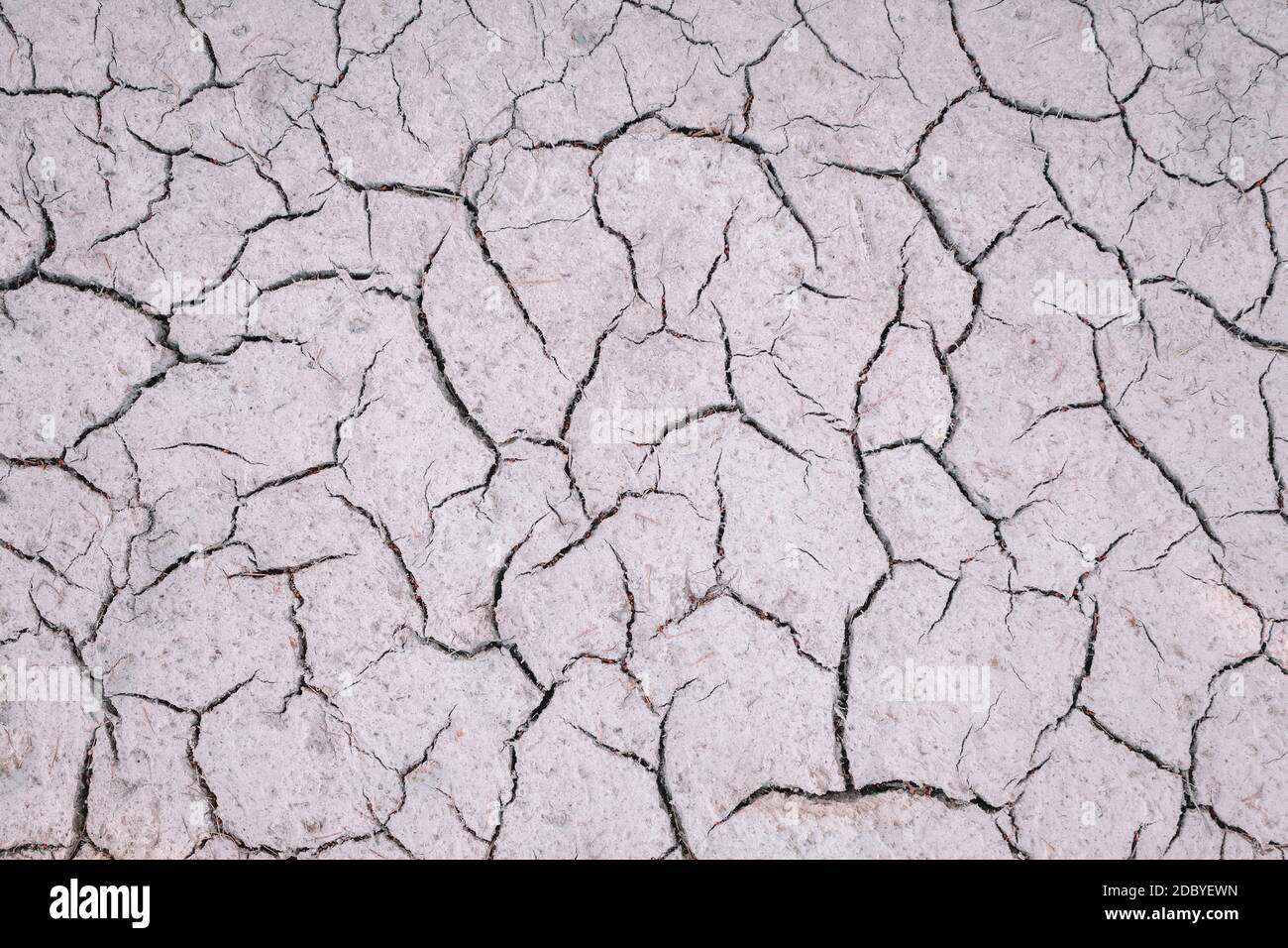 Texture of dry cracked soil after dried puddle Stock Photo - Alamy
