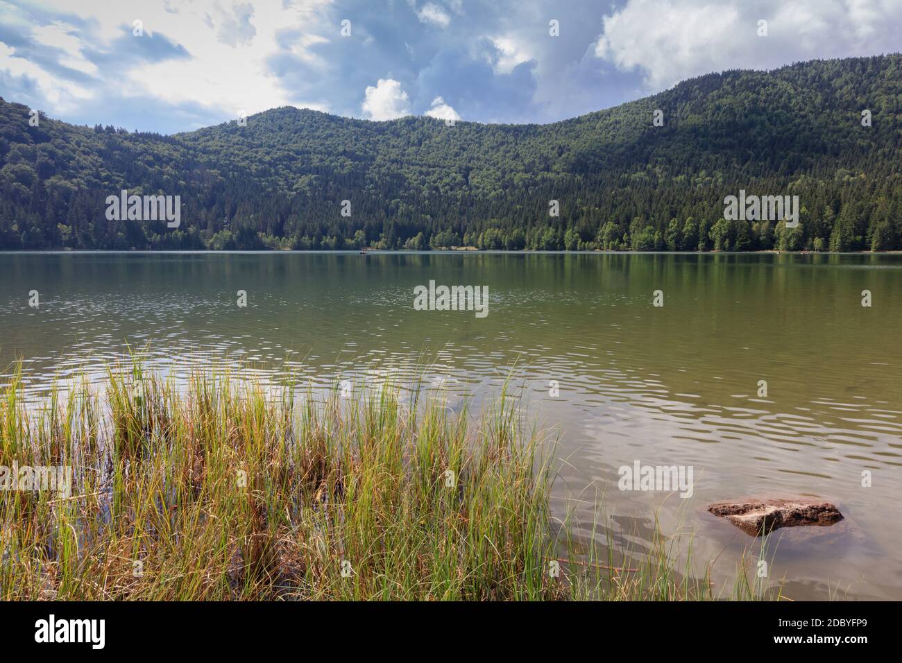 Saint Ana volcanic lake in Romania. The only lake in Europe formed in ...