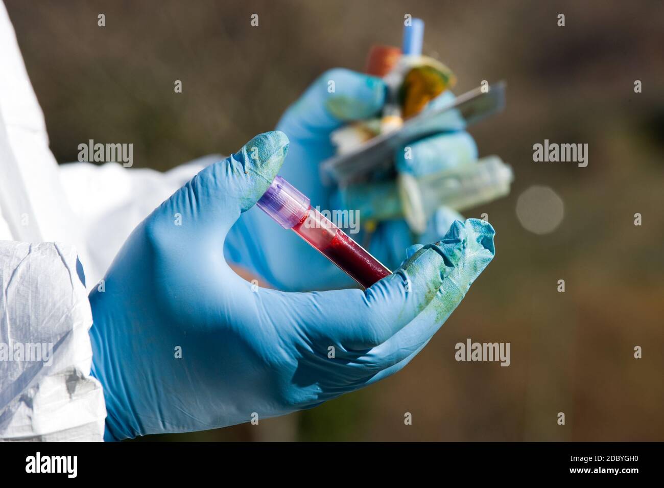 Zoonoses hi-res stock photography and images - Alamy