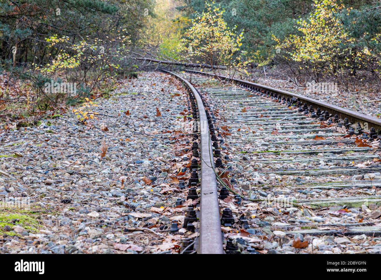 Leaves obstructing railway track hi-res stock photography and images ...