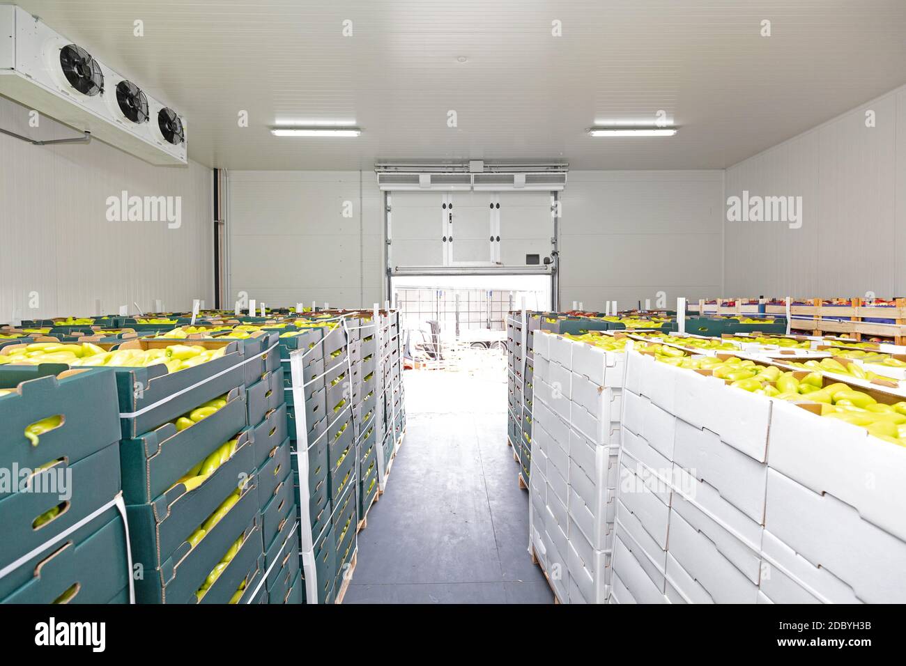 Peppers Vegetables in Boxes in Distribution Warehouse Stock Photo - Alamy