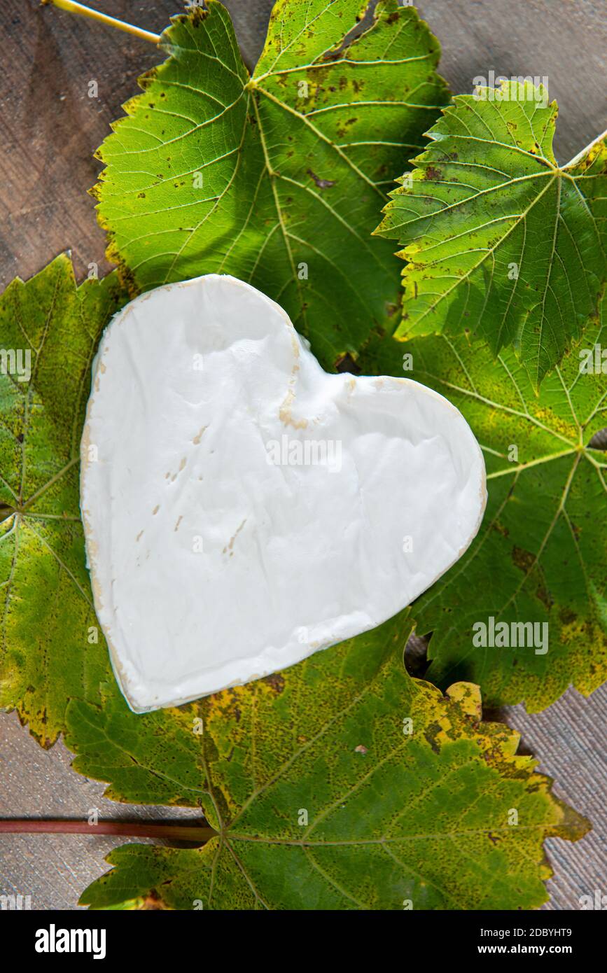 French Neufchatel cheese shaped heart on the autumn leaves Stock Photo ...