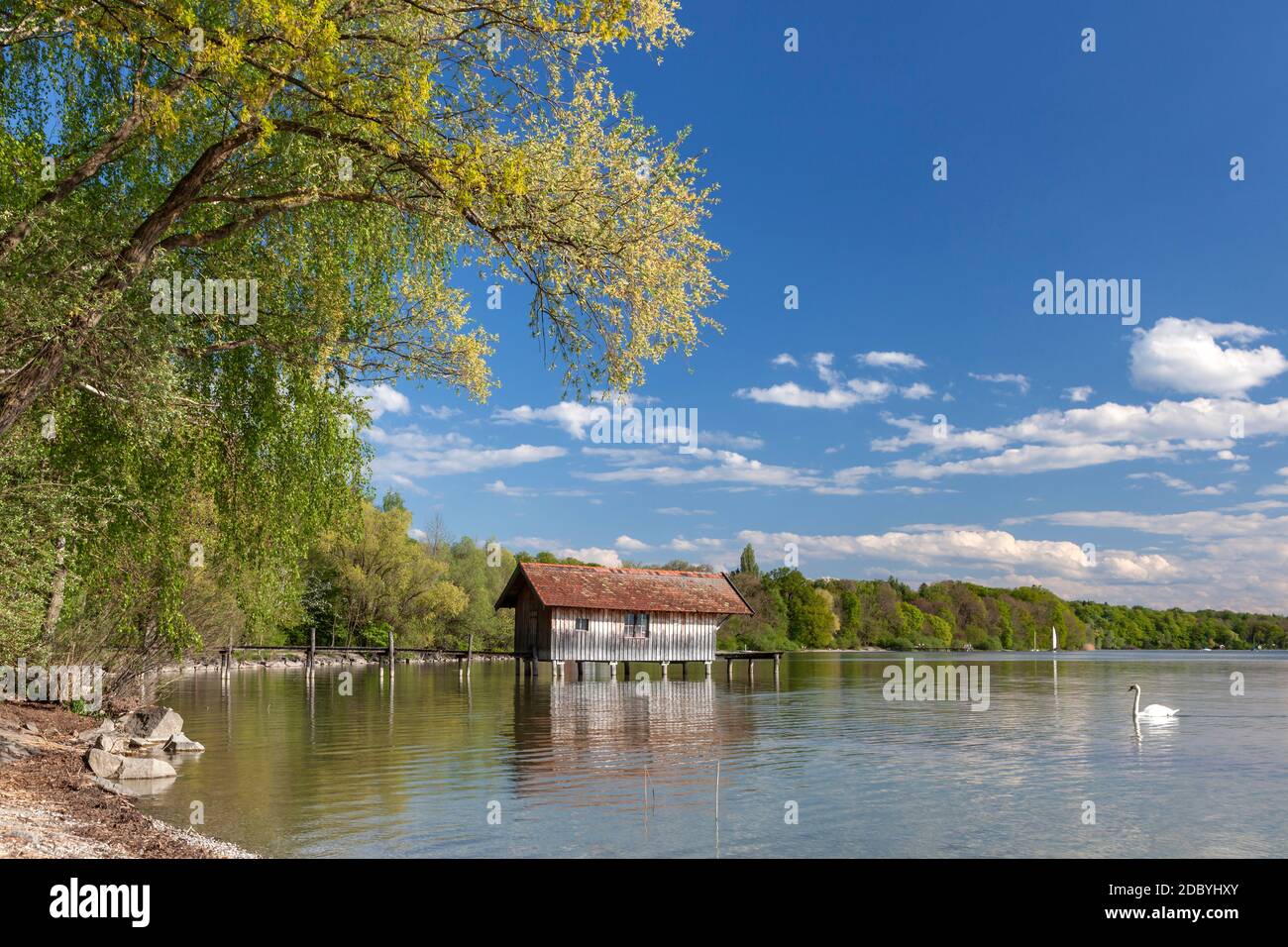 Ammer ammer hi-res stock photography and images - Alamy