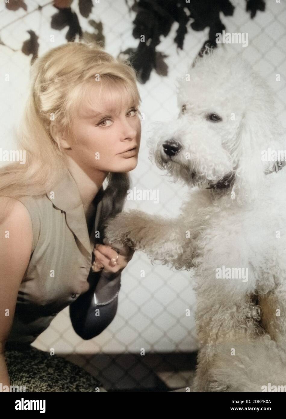 Elke Sommer, deutsche Schauspielerin und Sängerin, Deutschland ca. 1961 ...