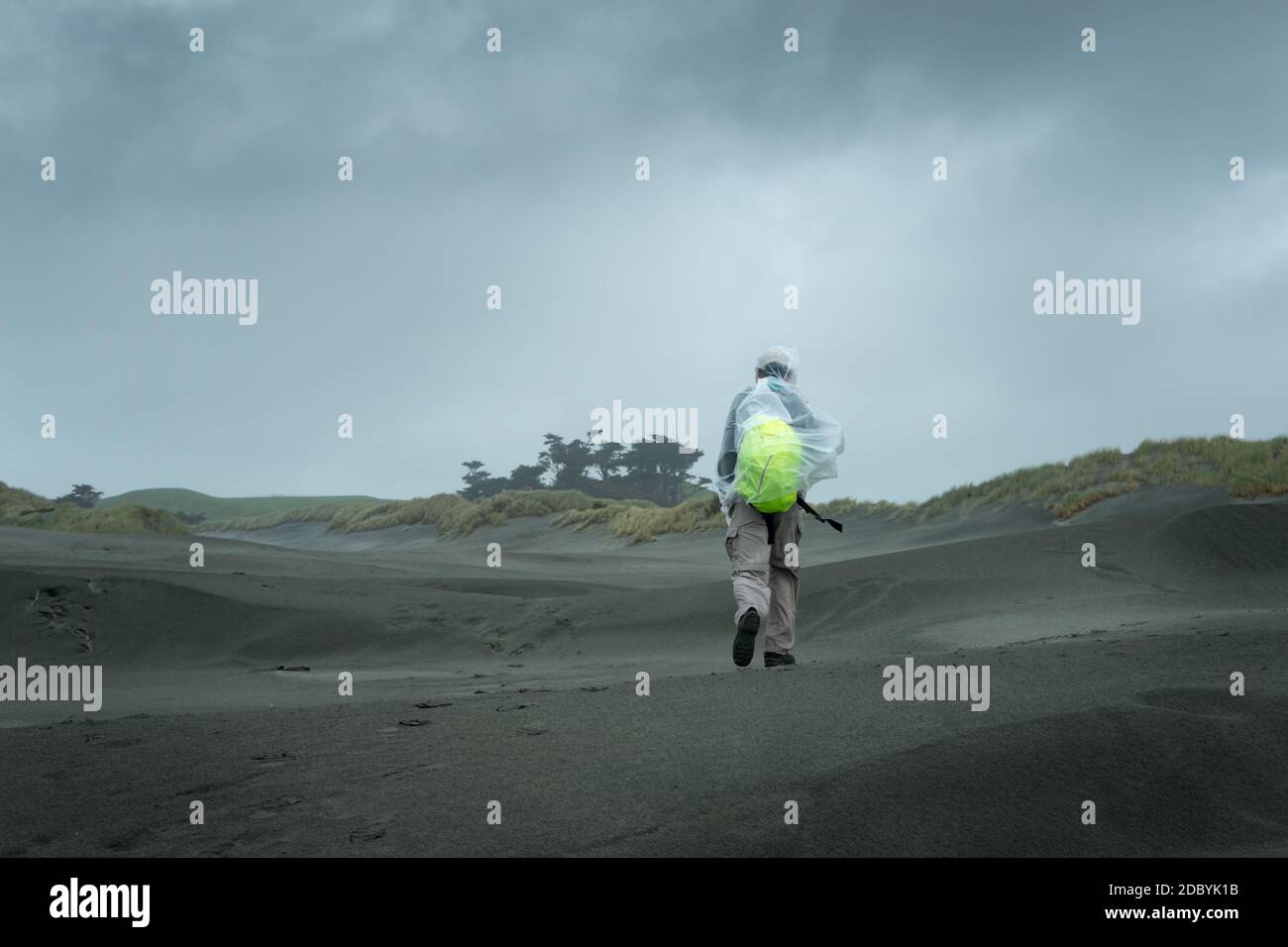 Man walking in the strong wind and heavy rain at Wharariki Beach, South ...