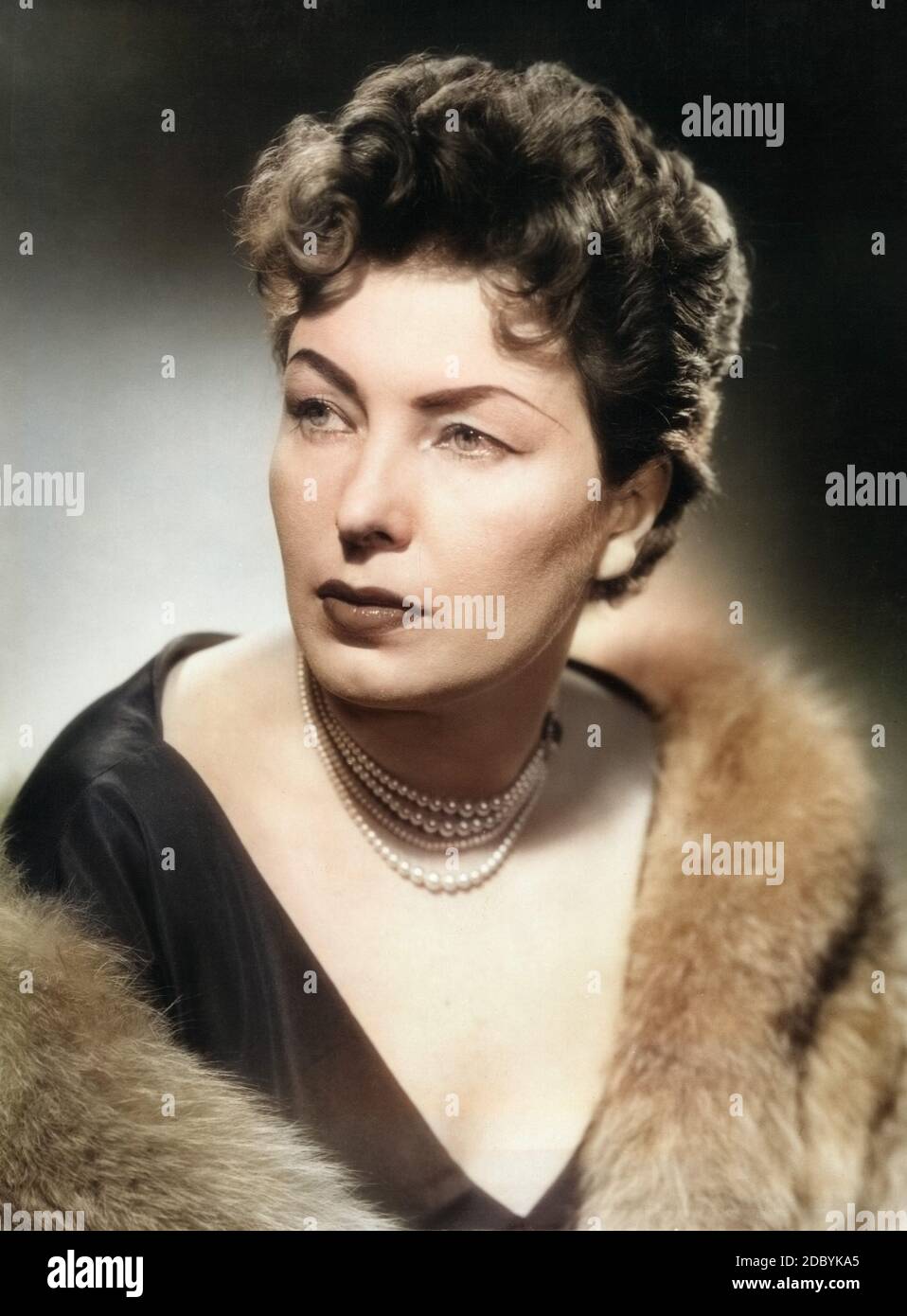 Steppat hi-res stock photography and images - Alamy