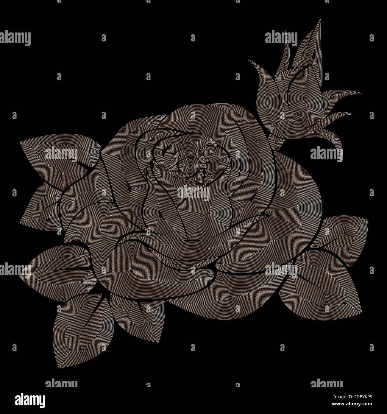 Rose on a black background, golden rose, linear art, vector ...
