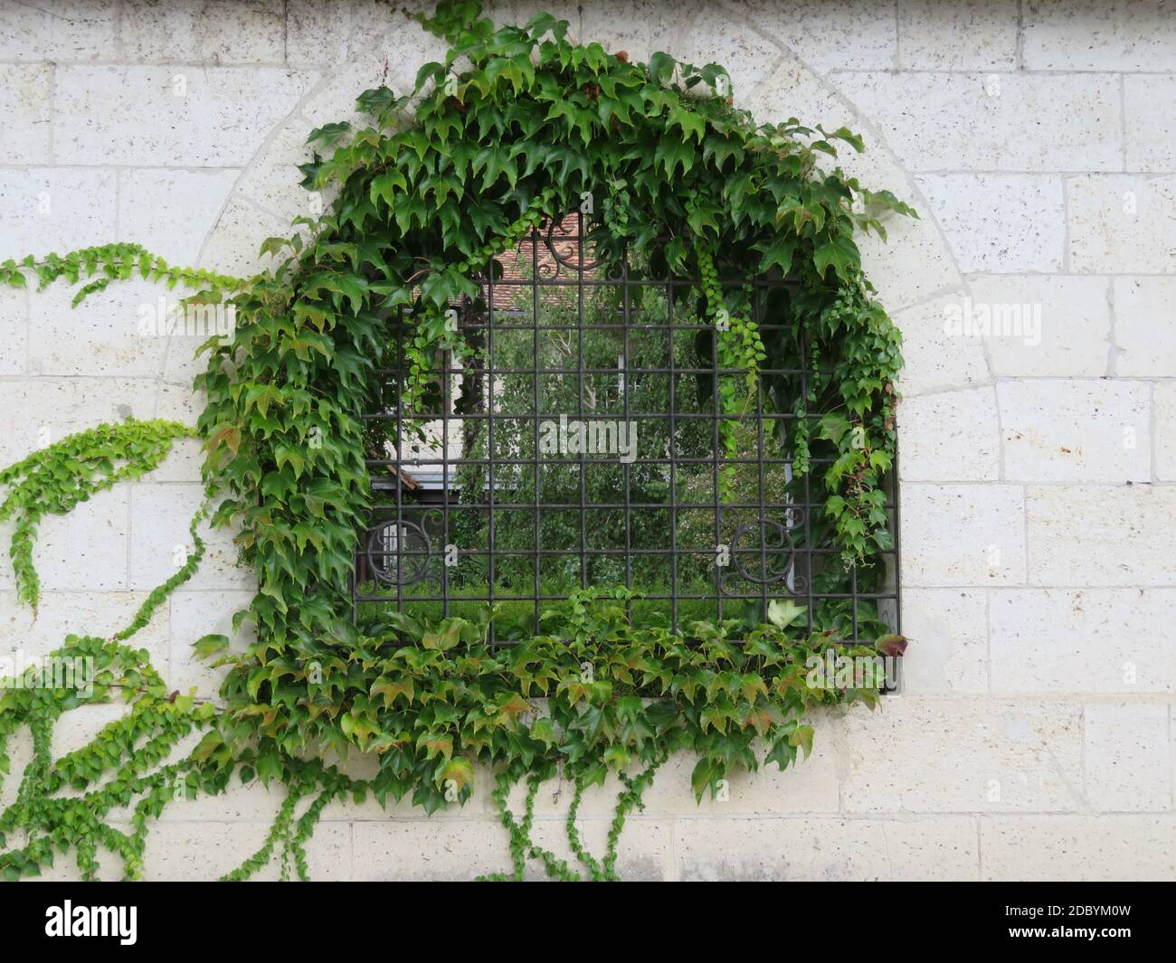 beautiful window with green grass around the natural frame Stock Photo ...