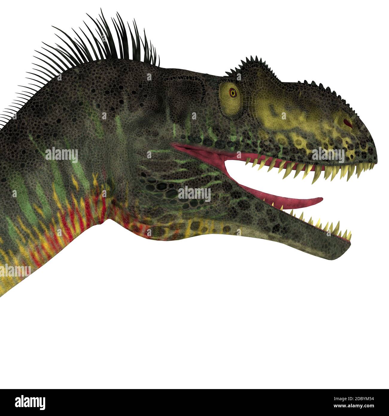 Megalosaurus was a large carnivorous theropod dinosaur that lived in the Jurassic Period of ...