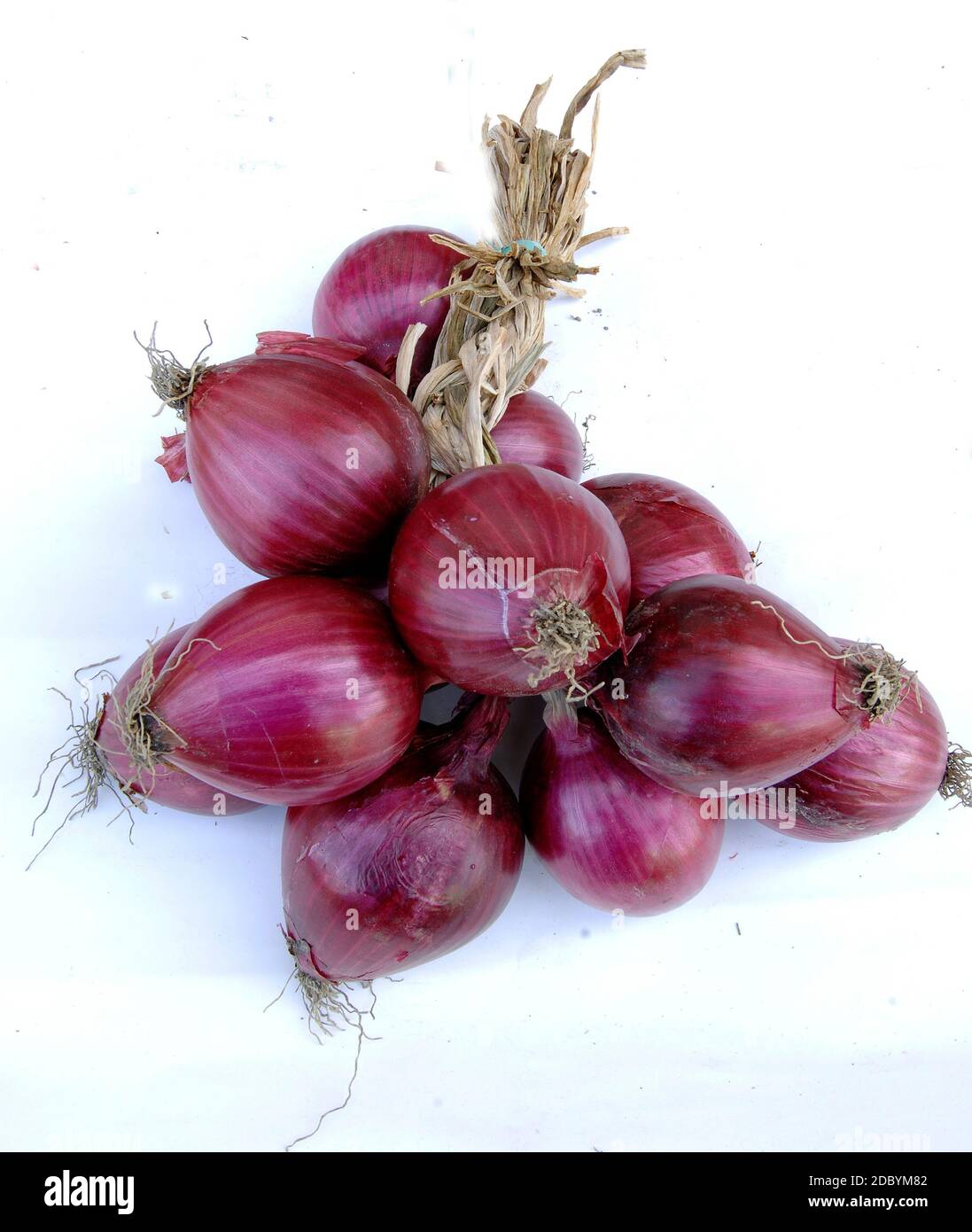 The Sweet Red Onion Of Tropea High Resolution Stock Photography and ...