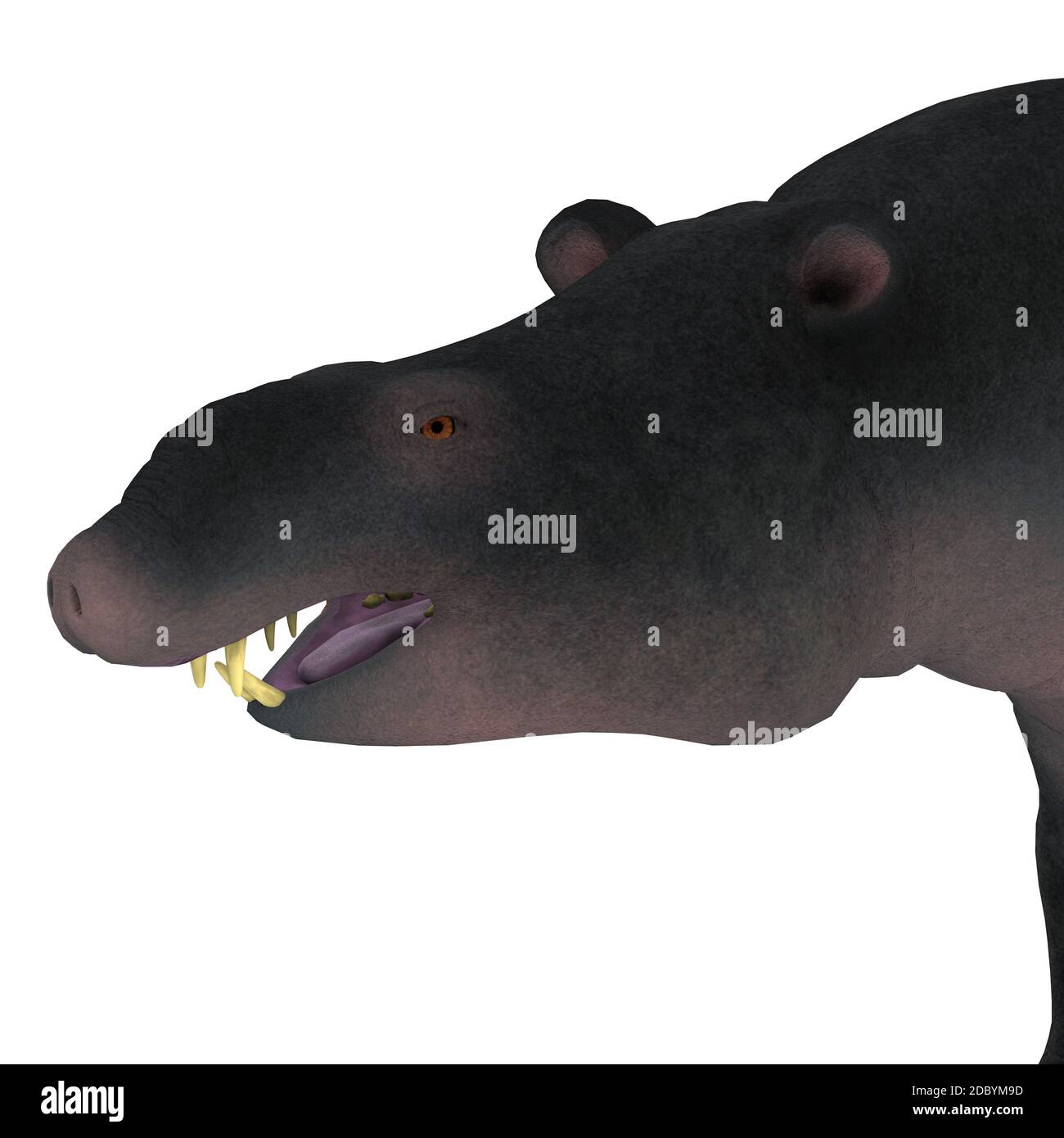 Moeritherium is an extinct mammal related to the elephant and the sea ...