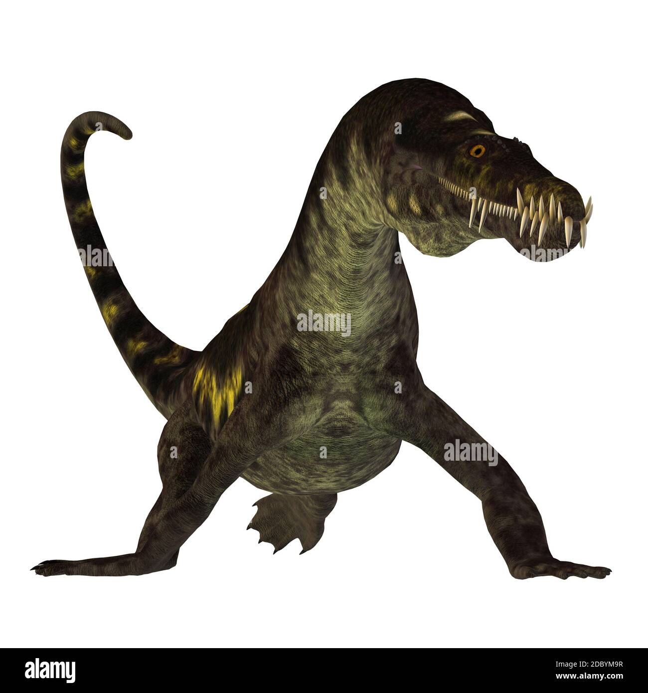 Carnivorous reptile hi-res stock photography and images - Alamy