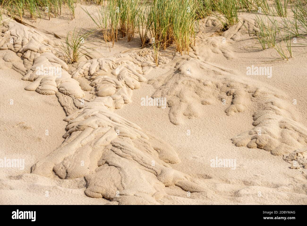 Wavy sand structures hi-res stock photography and images - Alamy
