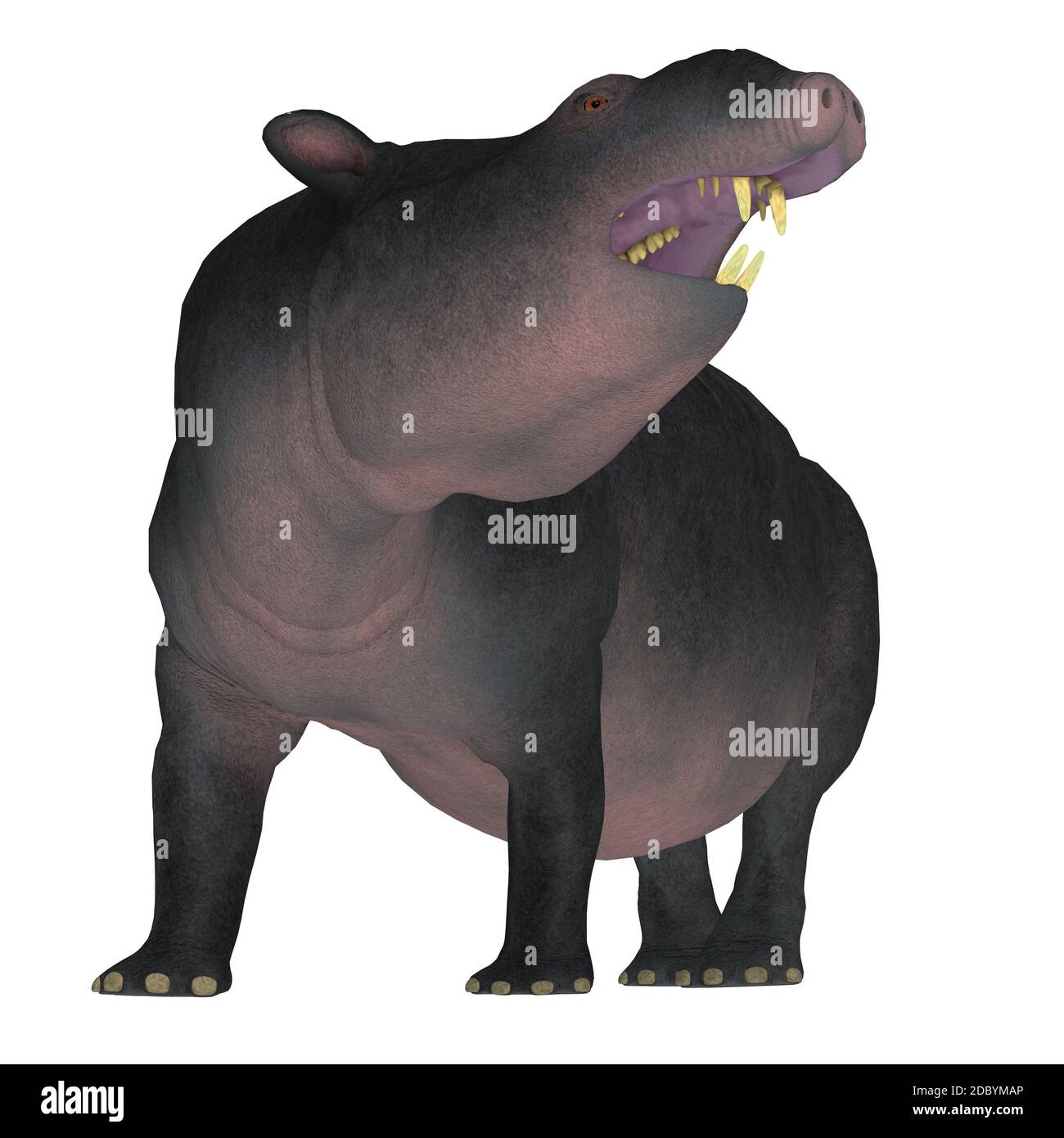 Moeritherium Toy Dinosaur | Meet The Moeritherium, A Distant Relative