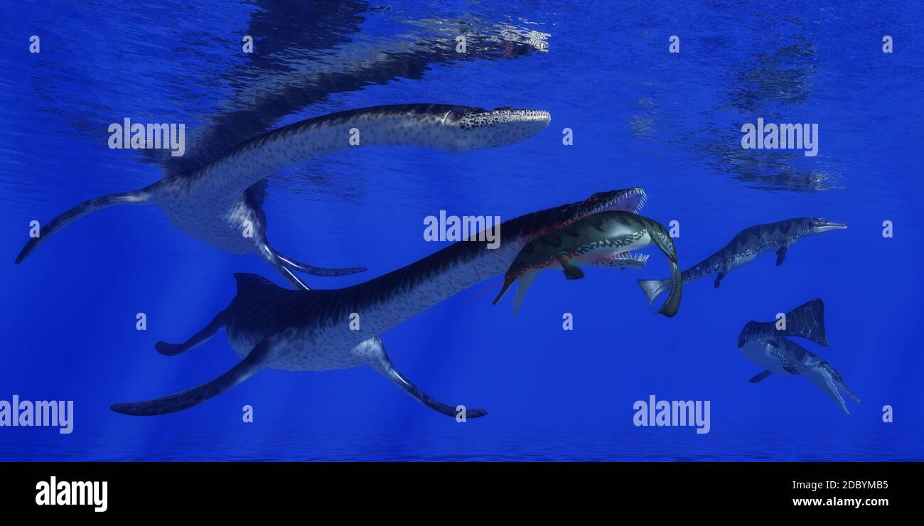 Jurassic underwater hi-res stock photography and images - Alamy