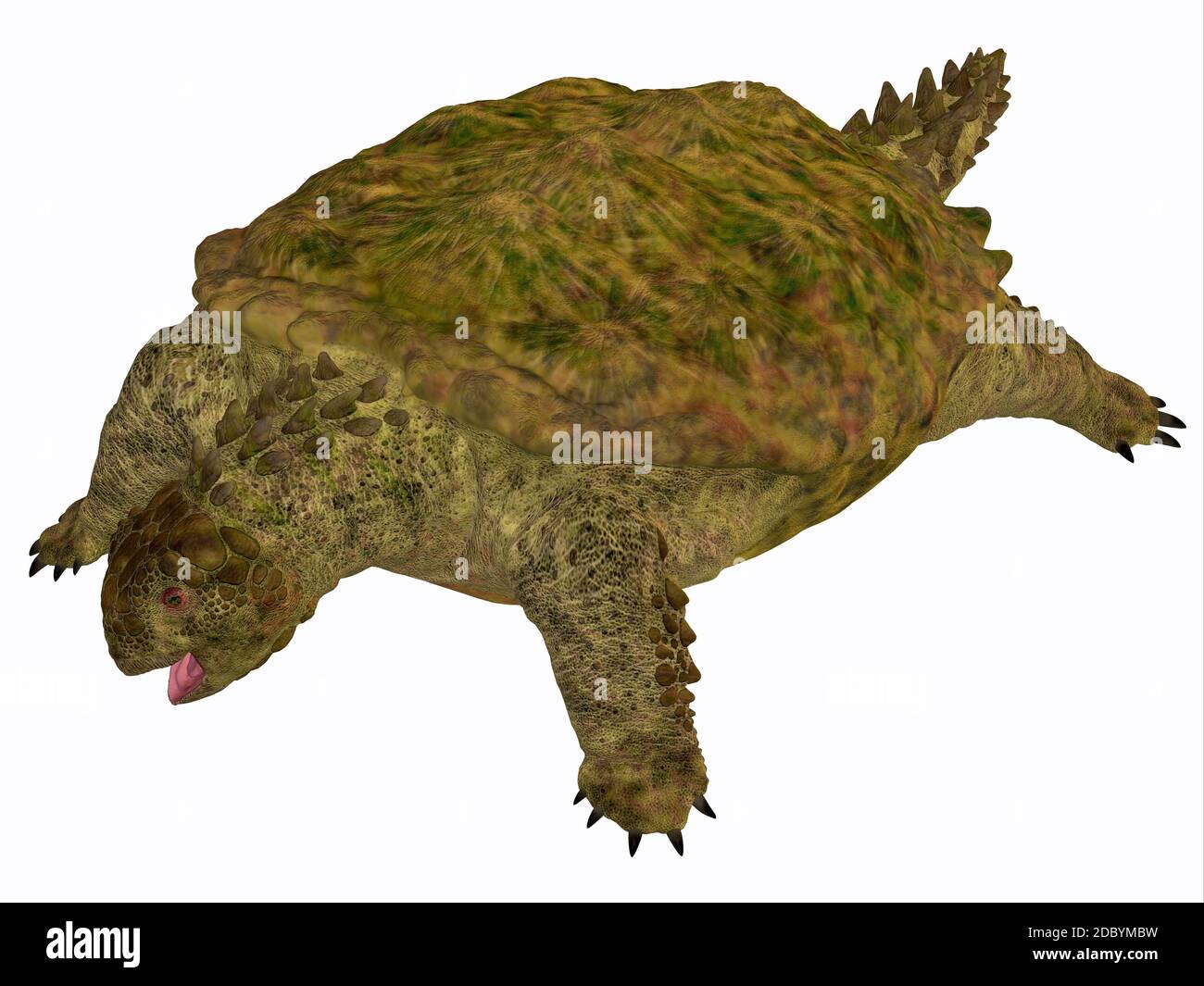 Proganochelys is the second oldest turtle species discovered and lived ...