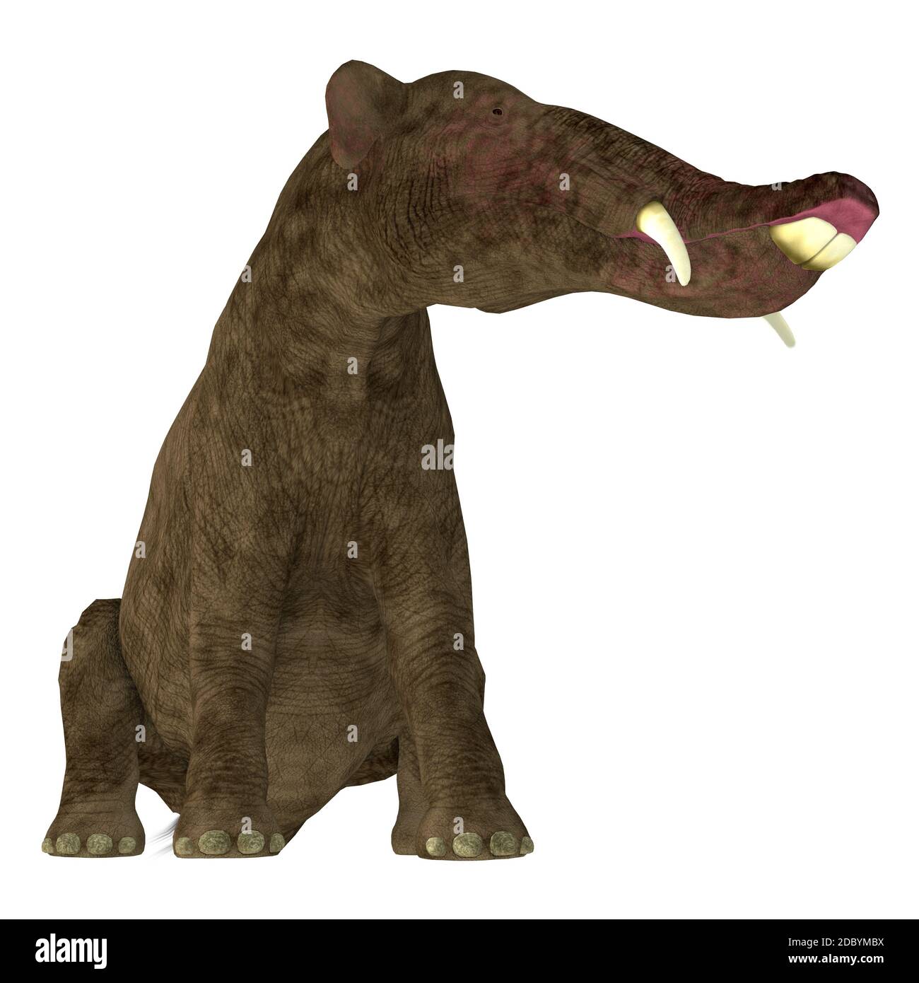 Miocene era hi-res stock photography and images - Alamy