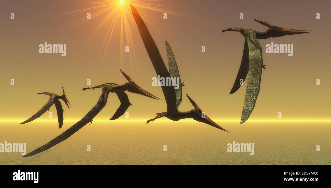 Pteranodons are flying reptiles that lived in the Cretaceous Period of ...